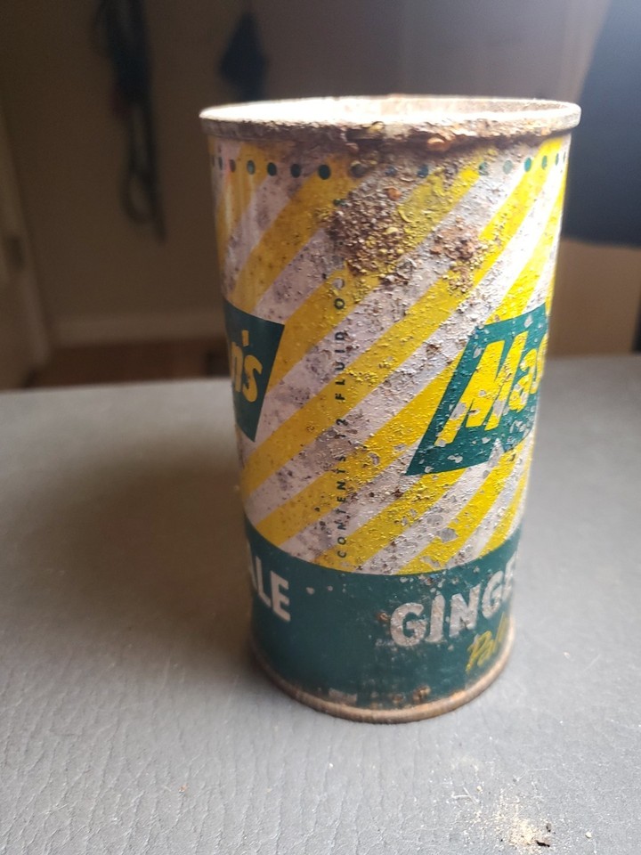 MASON'S Ginger Ale Pale Dry Flat Top Vintage Soda Can | eBay