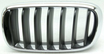 OEM BMW X5 Left Driver Side Grille Scratches 51137294485 | eBay