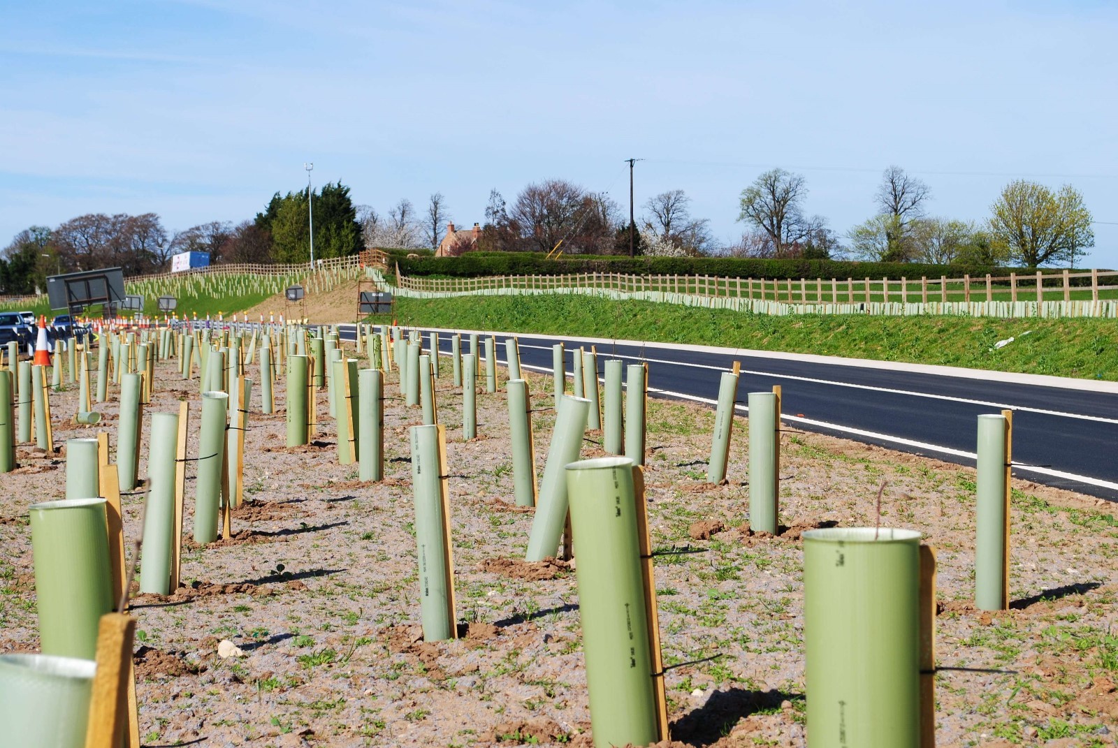 100 Pack of 1.2m Tubex Tree Tube Deer Protection Guards 73-105mm | eBay UK