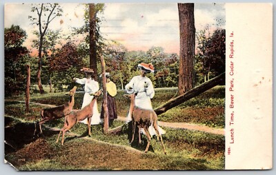 1908 Feeding Deer Lunch Time Bever Park Cedar Rapids Iowa ANTIQUE ...