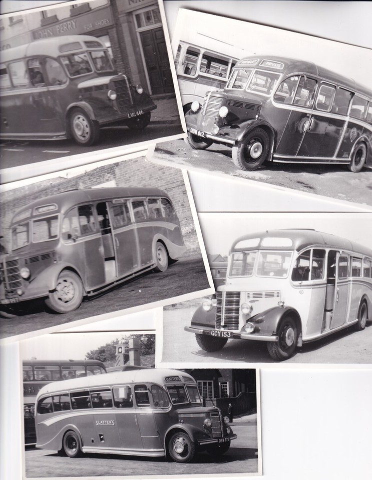 BEDFORD OB / DUPLE BUS & COACH (2) - COLLECTION - 10 IMAGES - REF ...