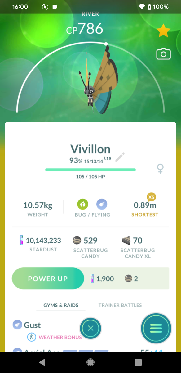 Pokemon X En Y Vivillon Vormen