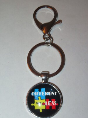 Autism Awareness Key Chain Round Key Ring Holder With Hook US FAST SHIP ...