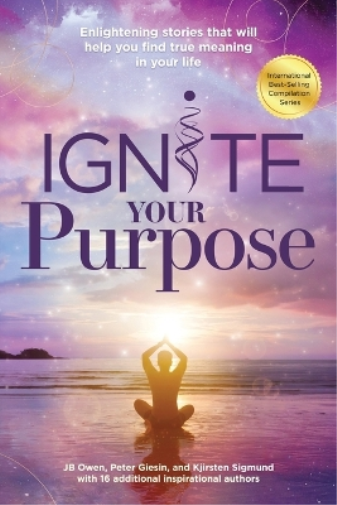 Jb Owen Peter Giesin Kjirsten Sigmund Ignite Your Purpose (Paperback ...