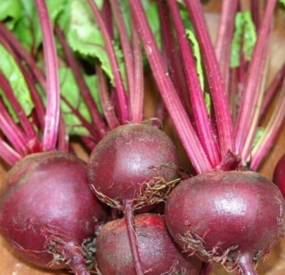 RUBY QUEEN BEET SEEDS 100+ ROOT vegetable GARDEN beets SURVIVAL FREE ...