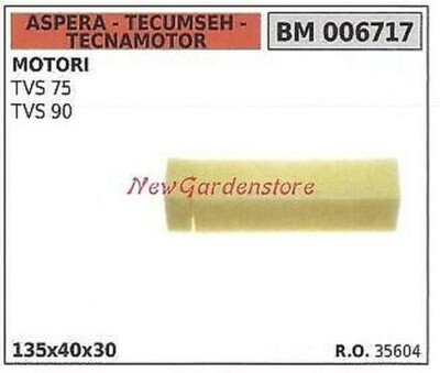 Air Filter Aspera Engine Lawn Mower Lawnmower Tvs 75 90 006717 | eBay ...