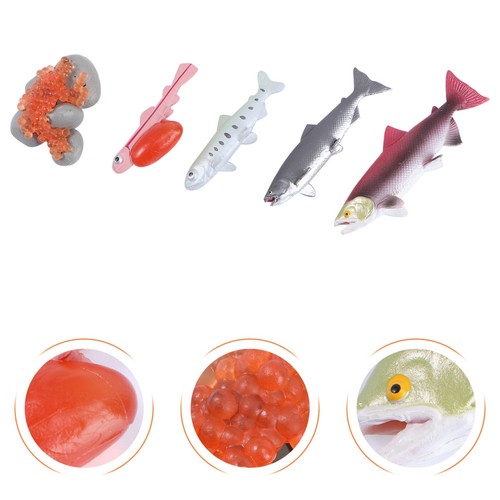 4Pcs Salmon Figurine Crafts Lifelike Kindergarten Fish Model Set ...