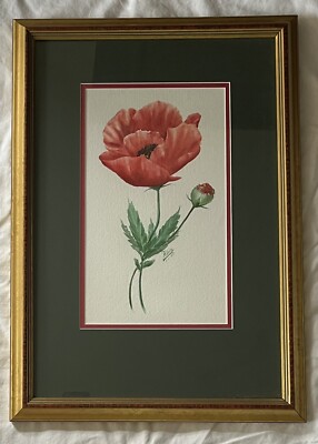 Original Watercolor of RED POPPY signed Robin 1997, Framed and Matted ...