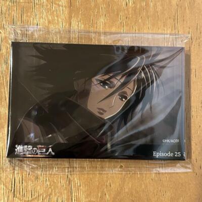 Attack On Titan Scene Photo Acrylic Block Mikasa | eBay