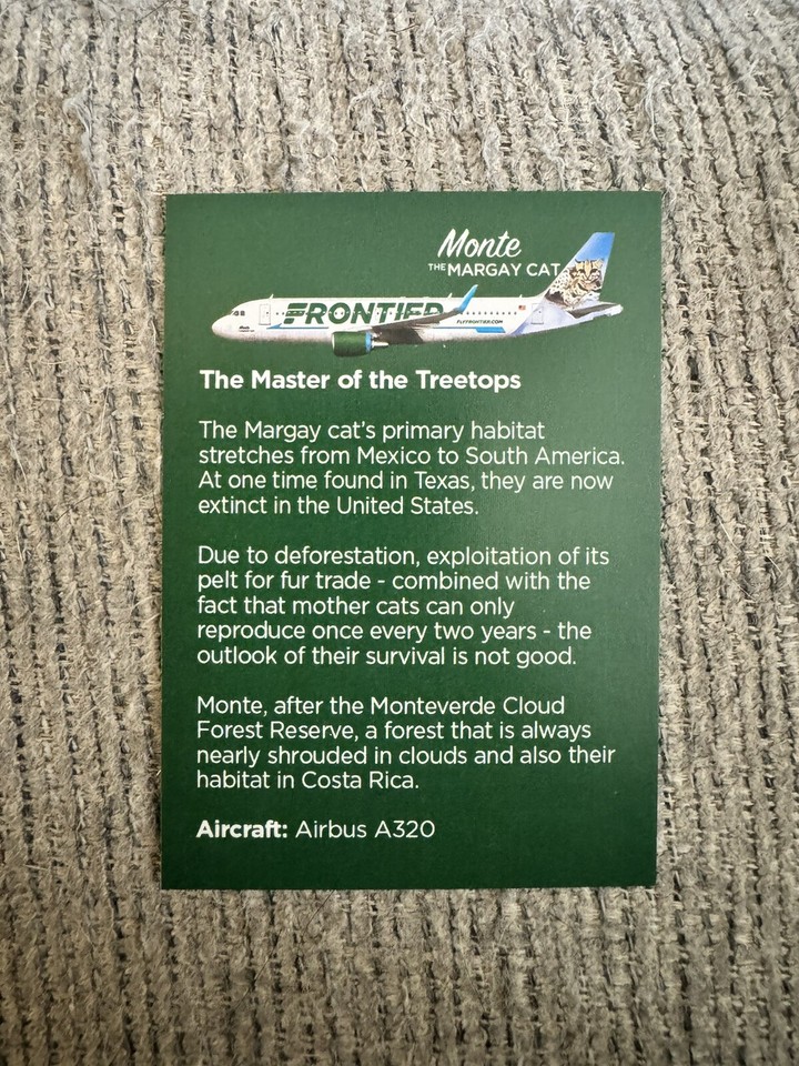 Frontier Airlines “Monte The Mayday Cat” Trading Card | eBay