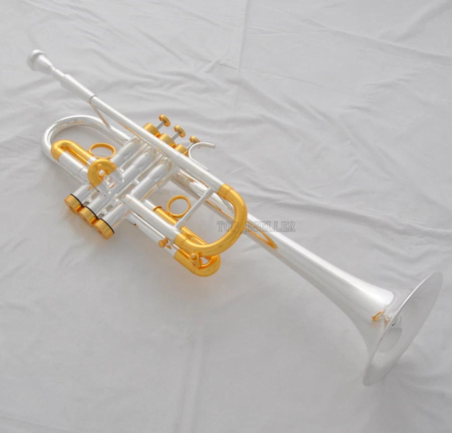 Silver And Gold Trumpet