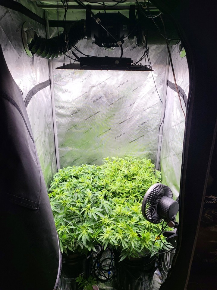 AC Infinity Advance Grow System 3x3, 3-Plant Kit Grow Tent Kit, | eBay