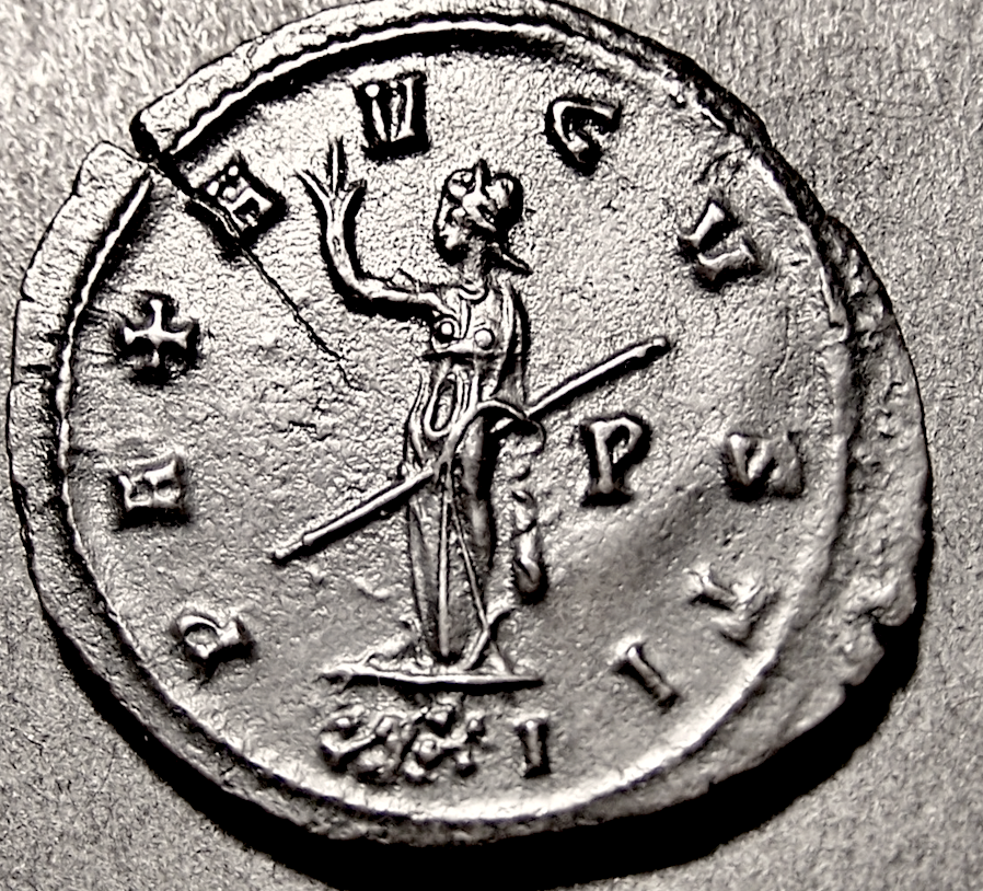 PROBUS' Peace, PAX ROMANA, 278 AD, 21-24mm Imperial Roman Emperor Coin ...