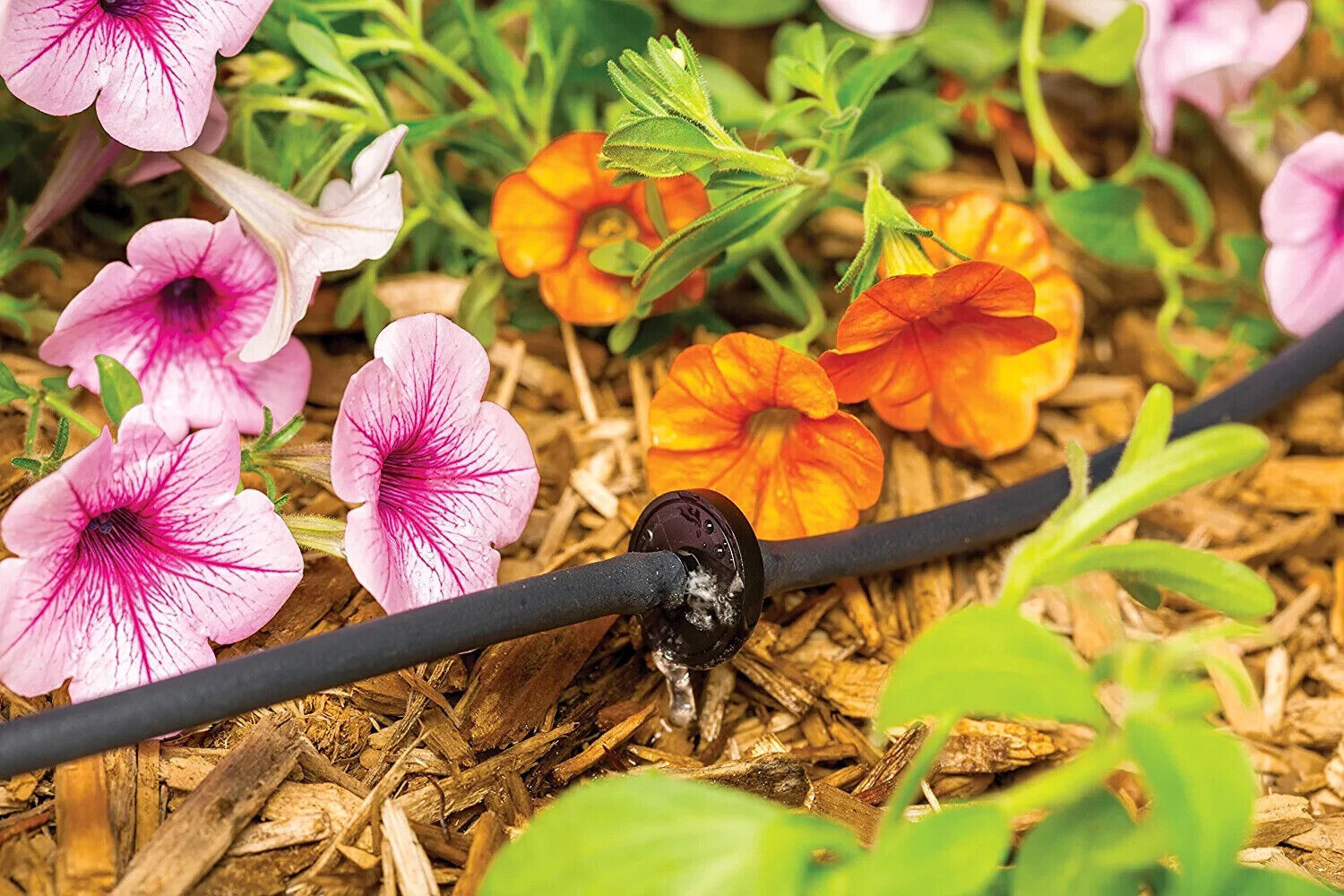 (50) Rain Bird Inline Dripper 1.0 Gph ILD1010PKX (10-Pack x 5) | eBay