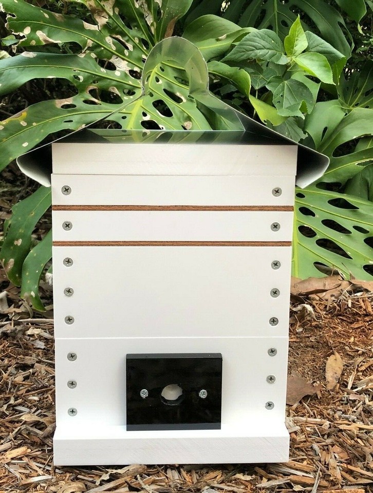 Stingless Native Bee Hive Honey Frame Design With Roof | Composite OATH ...