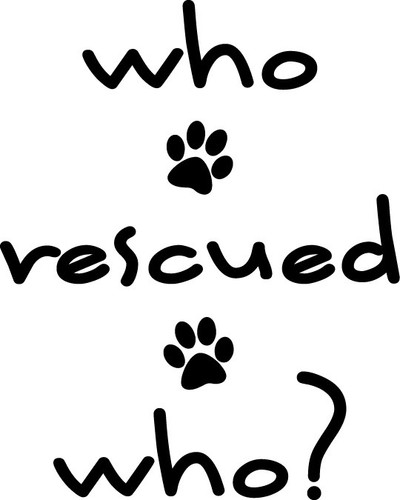 4.5" Who Rescued Who Decal Sticker Love Pet Animal Dog Paw Cat Pets ...