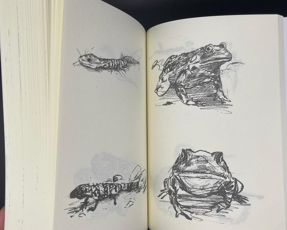 Arthur Morgan Journal for Red Dead II 2025 Edition 602 Pages | 1899 ...