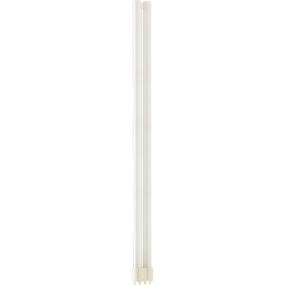 Philips Master 55W 4 pin Cool White 840 PL-L Lamp 4800 Lumens PLL | eBay UK