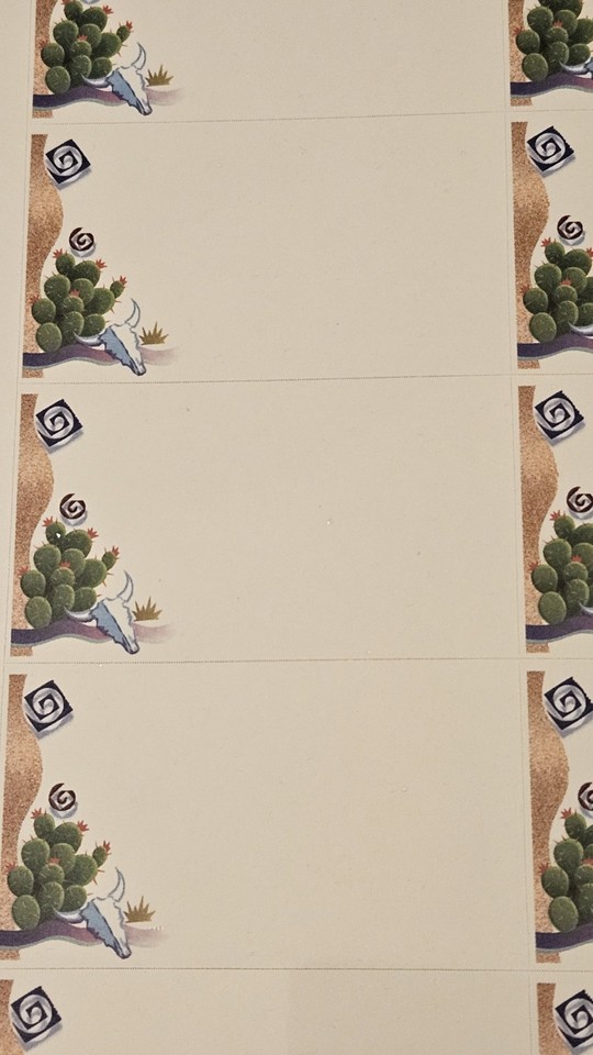 NEW Idea Art Western Cactus Border BLANK White Business Cards - 250 ...