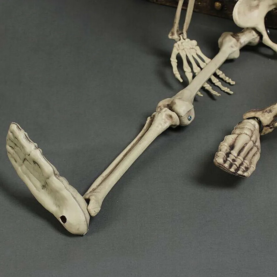 2Pack 5.4ft Halloween Skeleton Full Body Life Size Skeleton Bones ...