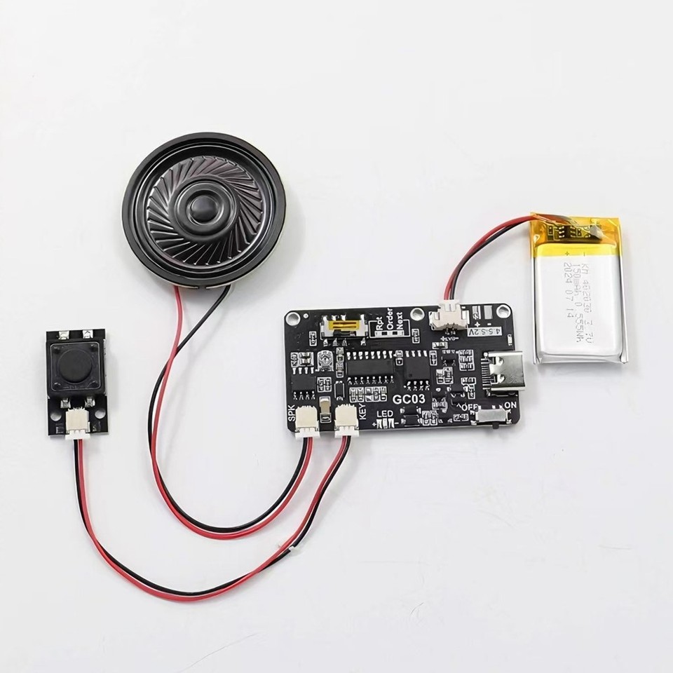 Recordable Sound Module with MP3 Download TYPE-C for Gift Box ...