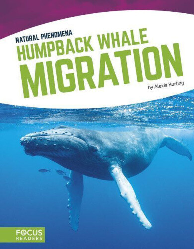 Natural Phenomena: Humpback Whale Migration by Burling, Alexis NEUF | eBay