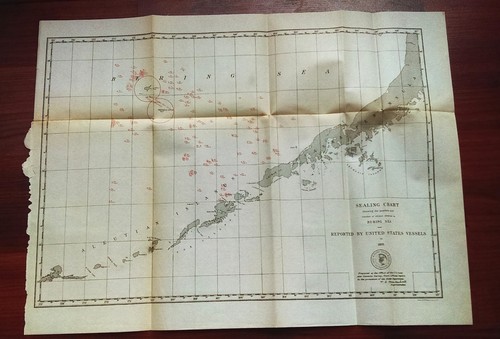 1891 Sealing Chart Map, Position & Number of SEALS Observed In Bering ...
