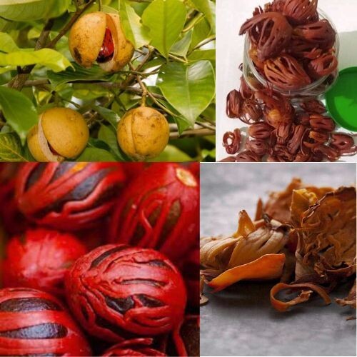 25g Organic Nutmeg Mace blade(wasawasi)Ceylon Premium Quality Spices ...