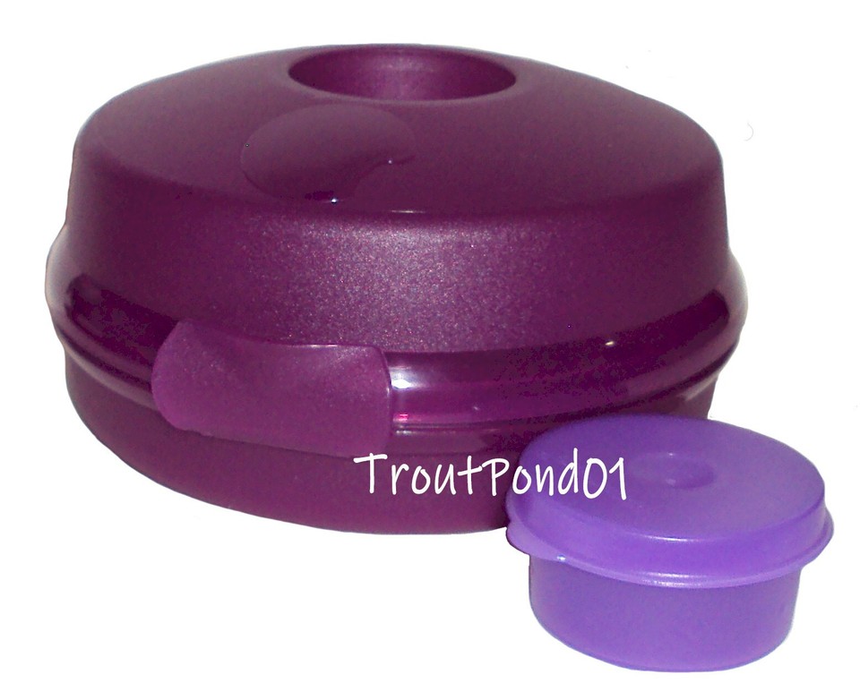 Tupperware Bagel Keeper Round Sandwich Salad Lunch Box Container ...