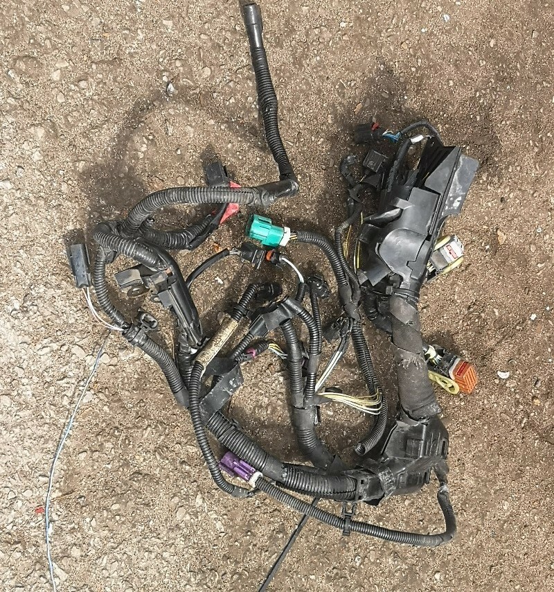 Ford FIESTA MK7 1.6 PETROL ENGINE LOOM HARNESS PLEASE NOTE CUT 8V5T ...