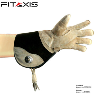 Eagle Raptor Falconry Glove Hawking Animal Handling Falcon Training ...
