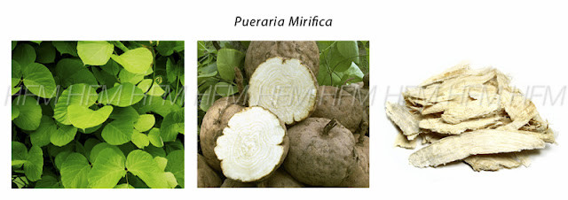 3 x BREAST ENLARGEMENT SOAPS Female Hormone Estrogen PUERARIA MIRIFICA ...