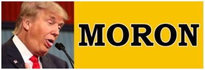 MORON - ANTI Trump POLITICAL BUMPER STICKER | eBay
