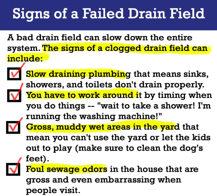 Drain Field Cleaner by Dr. Pooper - Clears Septic System Leach & Drain ...
