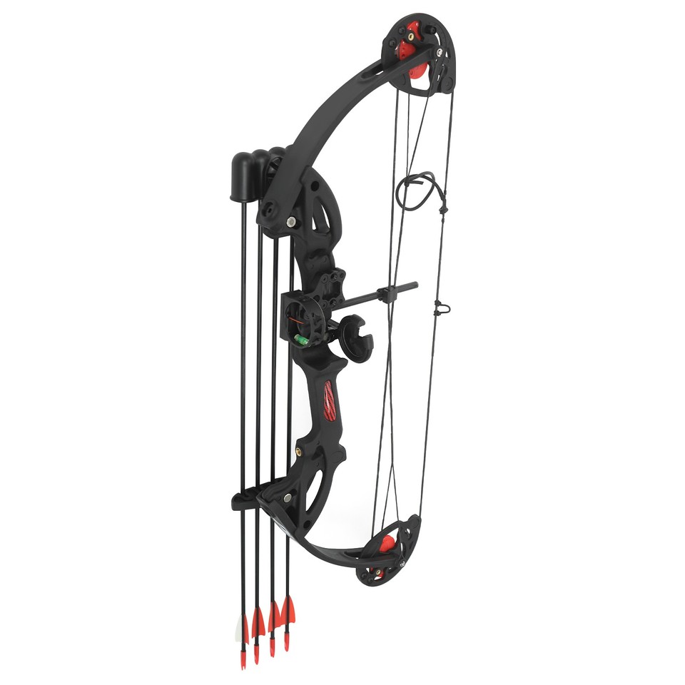 Compound Bow and Arrow Set 16-29lbs Adjustable 260FPS Archery Kit ...