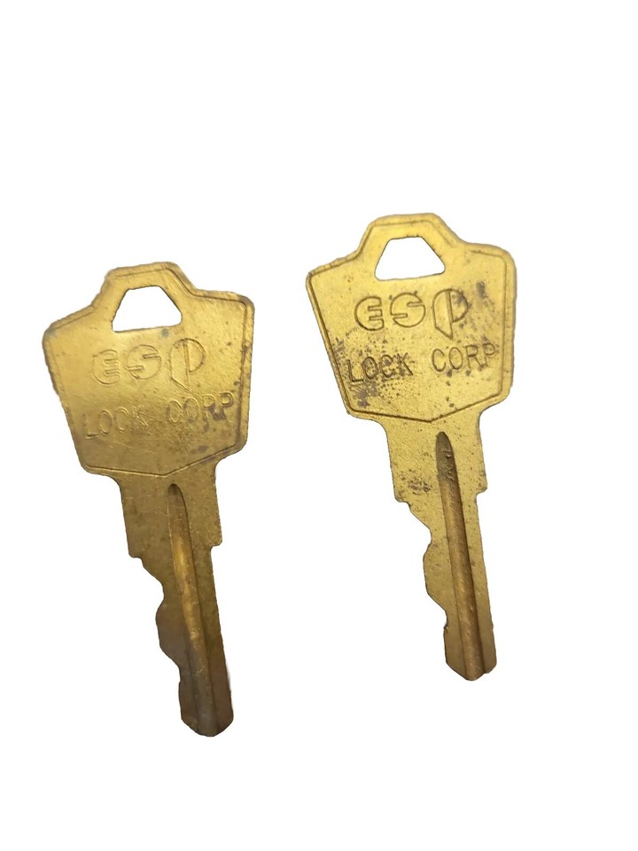 NEW ESP Corp ES201 Key | eBay