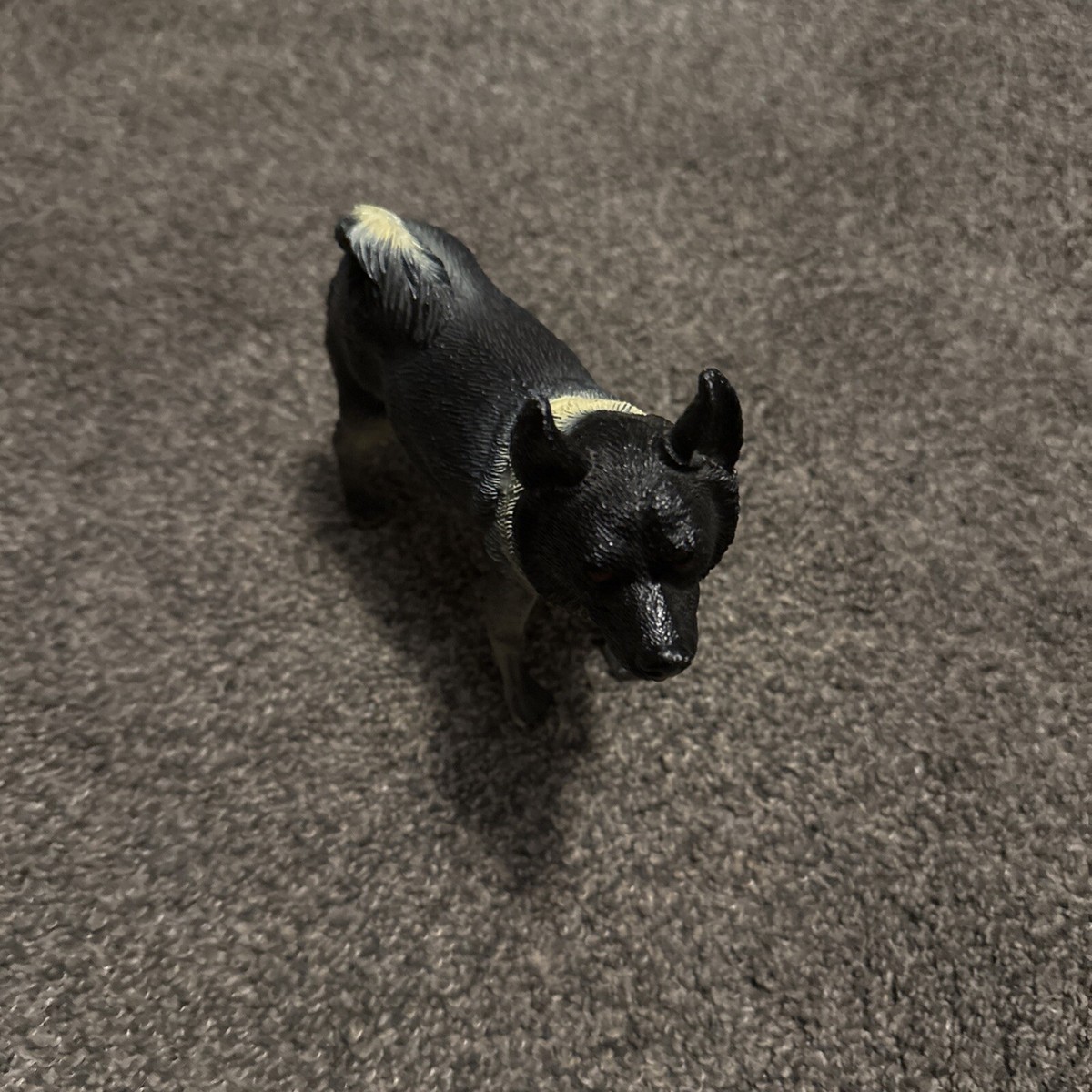 Scary Black German Shepherd Most Intimidating GSD Color | Page 2