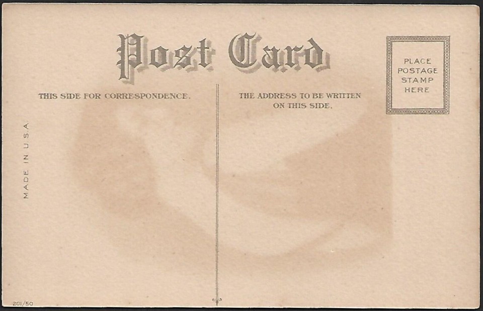 BL vintage very color postcard - MADE IN USA 201/50 | eBay