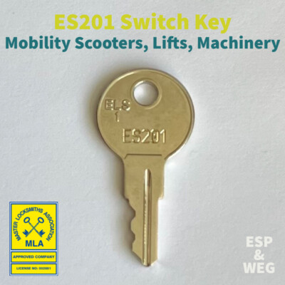 ES201 Switch Key - ESP & WEG - Mobility Scooters, Lifts, Machinery ...