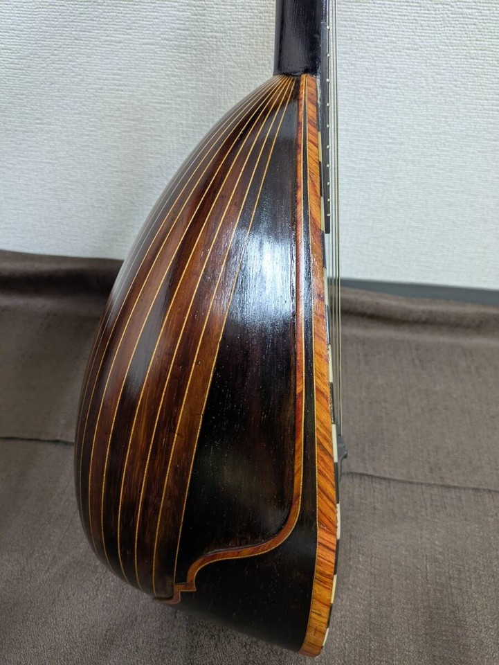 Stridente Old Mandolin | eBay