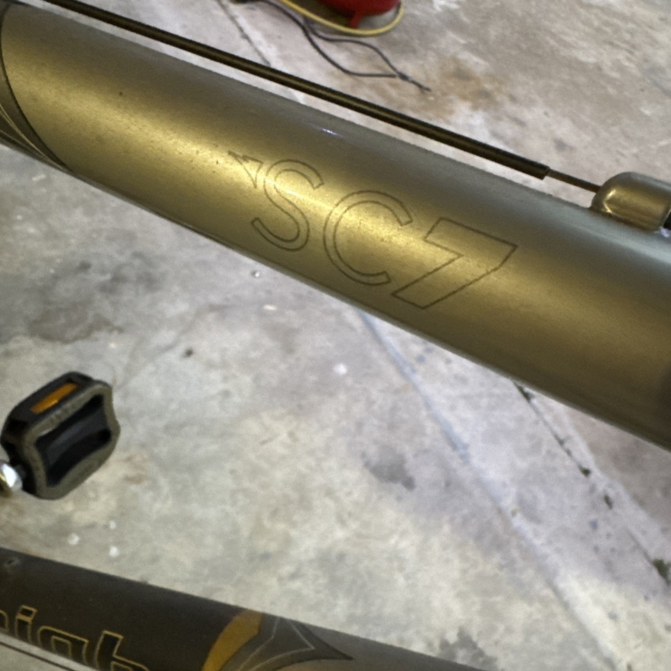 vintage Raleigh america bicycle SC7 XL22 inch beautiful!!! | eBay