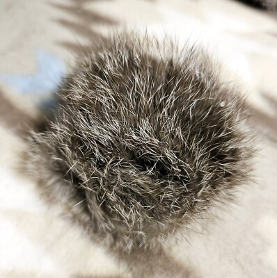 Real Genuine Rabbit Fur Ball Cat Toy - 2 Pack | eBay