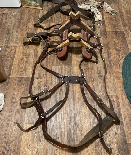 Sawbuck Pack Saddle, Leather Latigos Double Rigging Horse Mule Packing ...