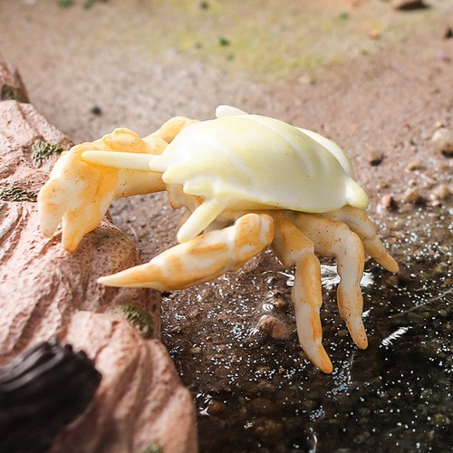 Fake Crab Good Detail Home Decoration Kids No Odor Crab Model Children ...