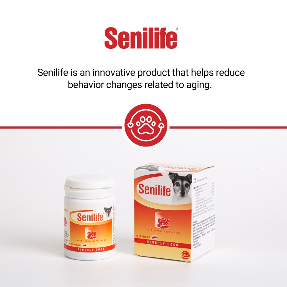 Senilife Supplement for Elderly Dogs – CEVA D59010B Brain Support, 30 ...