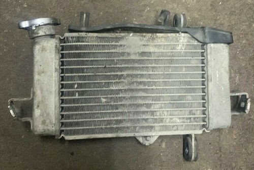 Yamaha YZF R125 Radiator & fan unit 2014 to 2017 | eBay UK