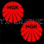 DECALS FOR NGK SPARK PLUG VINYL STICKERS RACE CAR 1 SET OF 2 | eBay