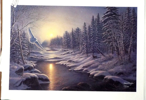 James Meger Solstice-Winter Mint W/Cert 1991 Owl | eBay