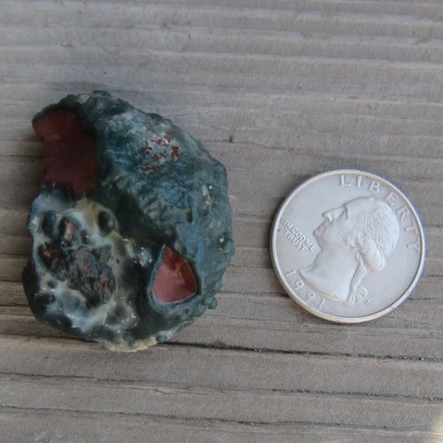 Natural Gobi agate/Jasper stone for Bonsai Suiseki gm771 | eBay