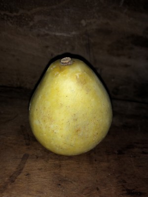 Early Italian Alabaster Stone Fruit Alabaster Yellow Pear Great Patina ...